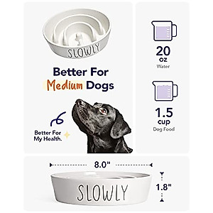 LE TAUCI PET Dog Slow Feeder Bowl Ceramic, Puzzle Dog Food Bowl for Small Medium Large Breed, Puppy Slow Feeder Bowl for Fast Eater, Dog Bowls to Slow Down Eating, Maze Bowl, Pet Bowl