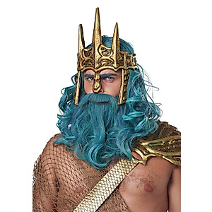 California Costumes Ocean King Wig and Beard Set Standard