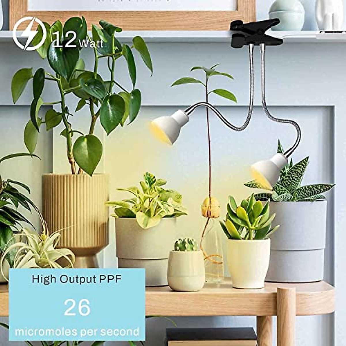 APLANT Grow Lights, Dual Head Plant Light for Indoor Plants, 360° Adjustable Gooseneck Plant Light with 6/10/12H Timer, Full Spectrum Clip-on Grow Lamp for Herb Garden/Succulents Growth