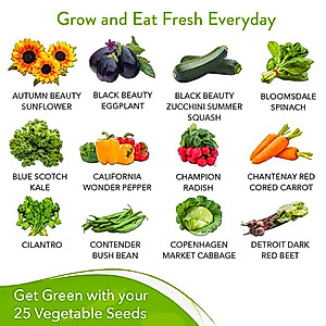 Heirloom Vegetable Seeds | 25 Non-GMO Varieties | 12k+ Gardening Seed for Planting Vegetables and Fruits | Prepper Supplies - Homesteading & Survival Gear | Garden Seed for Spring, Summer, Fall