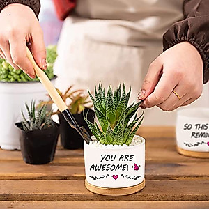 Inspirational Gifts for Women, You are Awesome, Birthday Gift for Grandma Mom Sister Friend, Garden Decor Planter Succulent Pots
