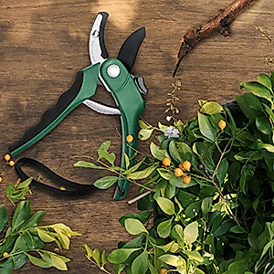 Nevlers 8" Anvil Pruning Shears for Gardening | Garden Clippers with Stainless Steel Blades & 8mm Cutting Capacity | Heavy Duty Gardening Tools | Hand Pruners for Gardening | Green Garden Pruners