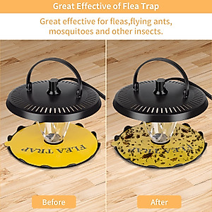 Protecker Flea Traps for Inside Your Home 2 Pack,Flea Treatment for House,Flea Killer Pest Traps for House Indoor,Reusable Flea Trap with Light Refills and Sticky Pads,Sticky Electronic Flea Trap