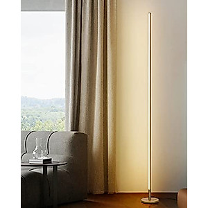 TACAHE Minimalist Corner Floor Lamp - 2700K-6500K Dimmable LED Night Light - Modern Standing Mood Lamp with Remote Control for Living Room, Bedroom - 57" 12W - Gold
