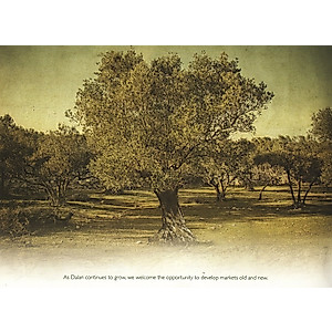 Dalan 100% Pure Olive Oil Hair Conditioner Repair Care for Dry and Damaged Hair Preventing it from Forming Split Ends Paraben-Silicon-PEG Free 6.8 fl.oz.