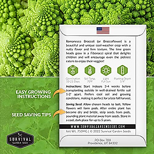 Survival Garden Seeds - Romanesco Broccoli for Planting - Packet with Instructions to Plant and Grow Delicious & Beautiful Fractal Broccoli Heads Your Home Vegetable Garden - Non-GMO Heirloom Variety