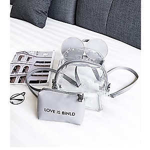 MOSSTYUS Clear Casual Daypack Transparent Crossbody Shoulder Daypack Cosmetic Bag