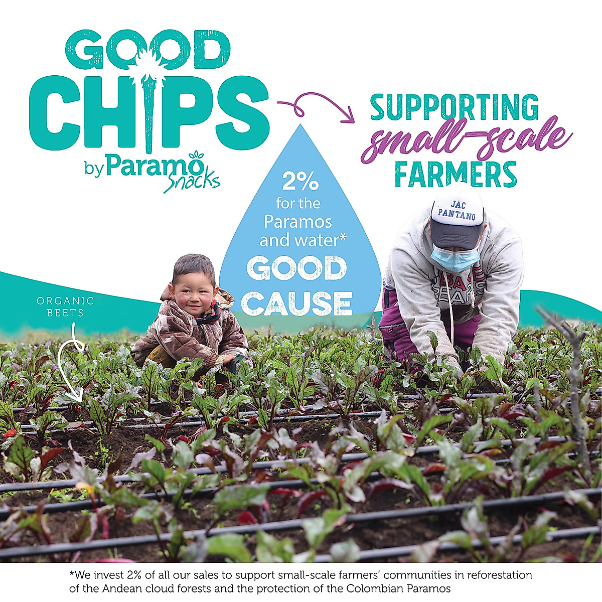 Good Chips Beet & Yacon - Crispy, Baked, No Oil, No Added Salt - Organic, High Fiber, Prebiotic Superfood - Healthy, Vegan Snack - 0.7 oz, Pack of 12