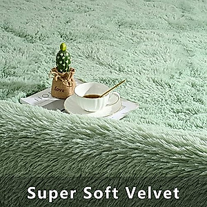 Jocovieh Soft Sage-Green Rugs for Bedroom, 5x7 Feet Fluffy Carpets, Indoor Modern Plush Area Rugs for Living Room Kids Girls Room, Non-Slip Shag Rug for Nursery Home Decor, Green