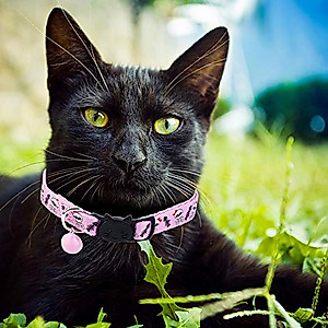 BoomBone Skull Cat Collar Breakaway with Bell,Pack of 2 Safe Halloween Puppy Collars