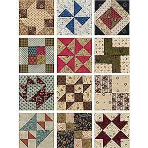 Schoolgirl Sampler: 72 Simple 4" Blocks and 7 Charming Quilts