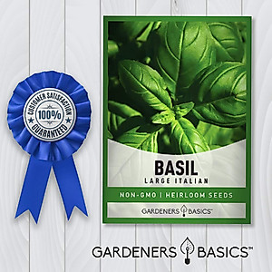 Basil Seeds for Planting (Large Leaf) Heirloom Non-GMO Herb Plant Seeds for Home Herb Garden Indoors, Outdoors, and Hydroponics by Gardeners Basics