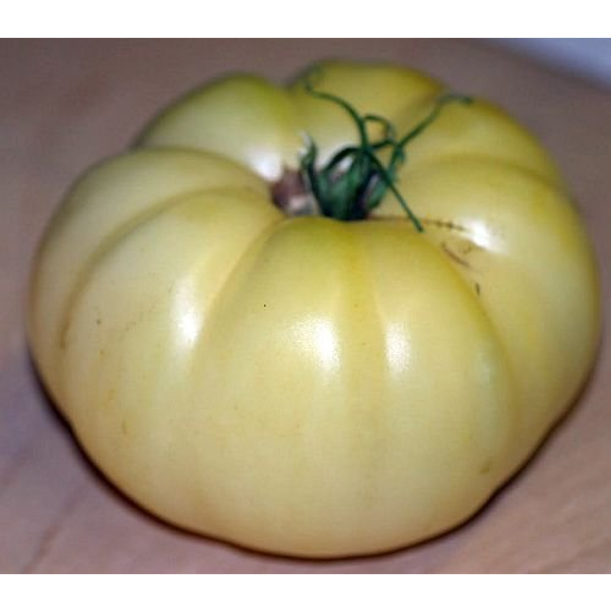 White Wonder Beefsteak Tomato Unique Heirloom! #221 (85 Seeds, or 1/4 Gram)