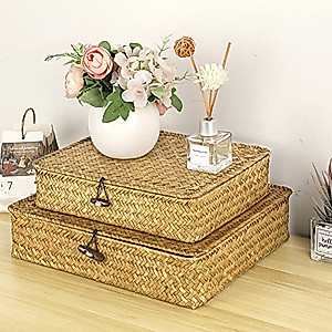 Hipiwe Set of 2 Flat Woven Wicker Storage Bins with Lid Natural Seagrass Basket Boxes Multipurpose Home Organizer Bins Boxes for Shelf Organizer, Caramel