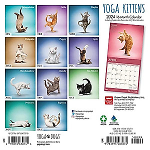 Yoga Kittens OFFICIAL | 2024 7 x 14 Inch Monthly Mini Wall Calendar | BrownTrout | Animals Humor Cats Feline