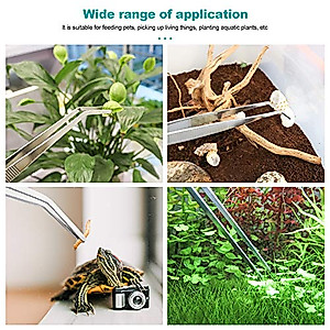 2Pcs Stainless Steel Feeding Tongs, Reptile Feeding Tweezers Long Handle Feeder Tools, Bug Feeding Clamp Cricket Tongs for Fish Aquariums, Reptiles Snakes Lizard Gecko Spider and Bird (Set 1)