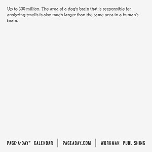 365 Days of Amazing Trivia! Page-A-Day Calendar 2021