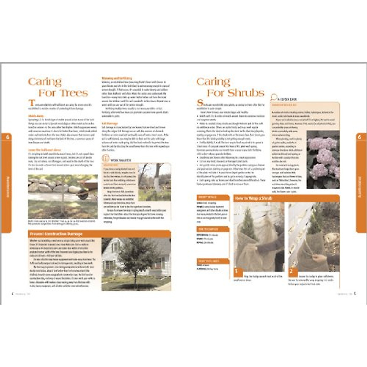 Gardening 1-2-3 (HOME DEPOT 1-2-3)