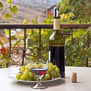 Hiceeden 200 Pack Silver Wine Pourer, Thin and Reusable Wine Pouring Disc, Drop Stoping Pour Spout for Home, Bar, Restaurant, Party