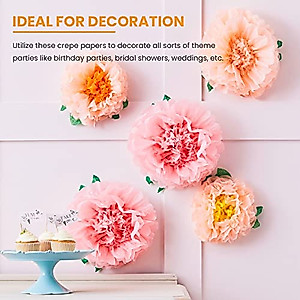 Lotus Decor 12 Rolls Crepe Paper Streamers Birthday Decorations 82ft x 1.7inch Rainbow Party Streamers Decorations for Weddings, Engagement, Baby & Bridal Shower, etc