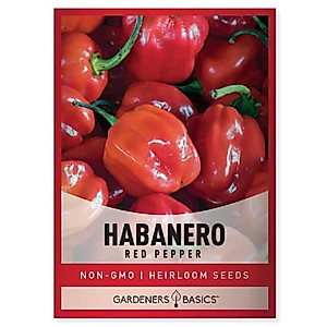 Red Habanero Pepper Seeds for Planting 100+ Heirloom Non-GMO Habanero Peppers Plant Seeds for Home Garden Vegetables Makes a Great Gift for Gardeners by Gardeners Basics