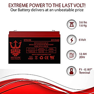 Neptune Brand 6V 12Ah SLA Replacement Battery for Tripp-Lite SMART700RM UPS Battery - 2 Pack