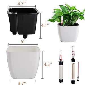 yarlung 6 Pack Self Watering Planter with Water Level Indicator, 5 Inch Plastic Plant Flower Pots Nested Container for Indoor Plants, Herbs, Aloe, Outdoor Gardening