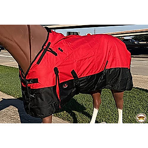 HILASON 600D Winter Waterproof Poly Pony Horse Blanket Red-56 Inches | Horse Blanket | Horse Blankets for Winter Waterproof | Horse Turnout Blanket | Horse Turnout