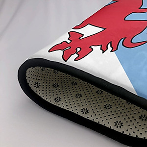 LIICHEES Flag of Boomerville, Dream SMP Area Rug 63x48in Washable Rugs for Living Room Bedroom Large Rug Indoor Decorative Carpet Yoga Mat