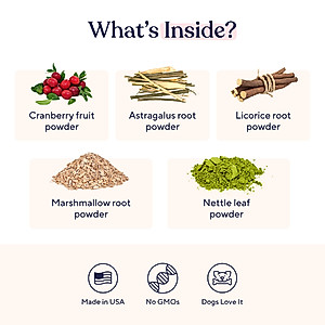 Pawfy Dog UTI Supplement | Cranberry & D-Mannose Help Support Dog Urinary Tract Health & Bladder Support | Ideal for Senior Dogs | Urinary Tract Infection Treatment | Dog Vitamins and Supplements