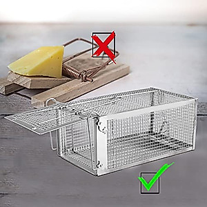 PIXESTT Humane Mouse Trap, Rat Cage Trap Suitable for Capturing Mice or Hamsters Alive, Friendly Small Animal Humane Live Cage Rat - 11.2'' X 5.5'' X 5''