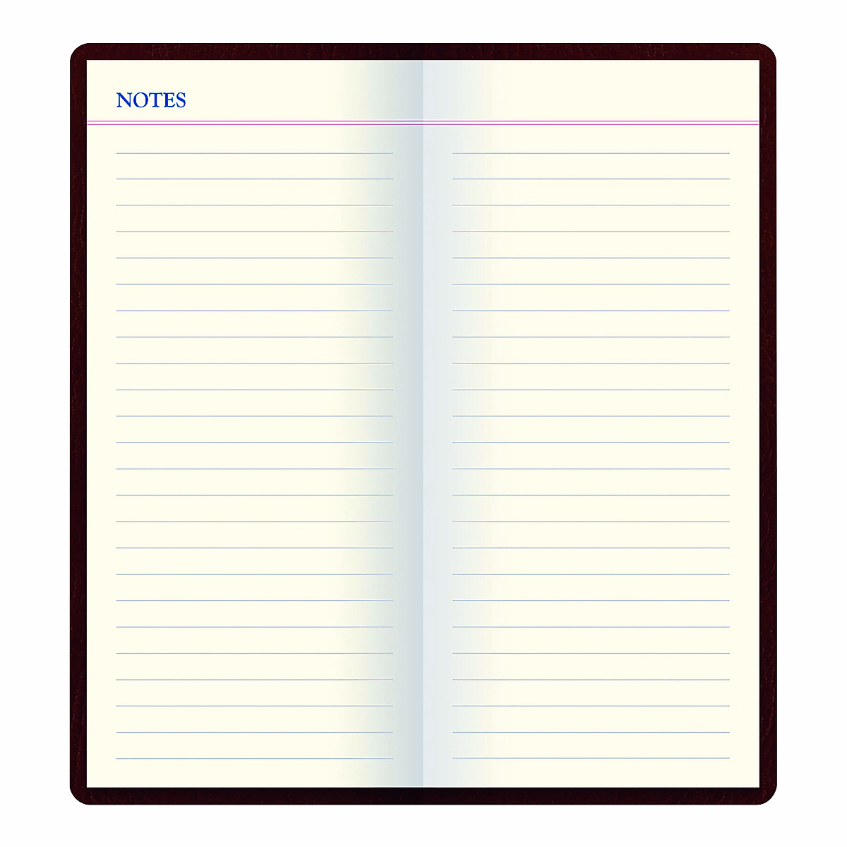 Letts Note Origins Collection Slim Pocket Size Notebook with Gold Pen, Ruled, 240 Pages, Cream Paper, 5.75" x 2.75", Chocolate (B090013)