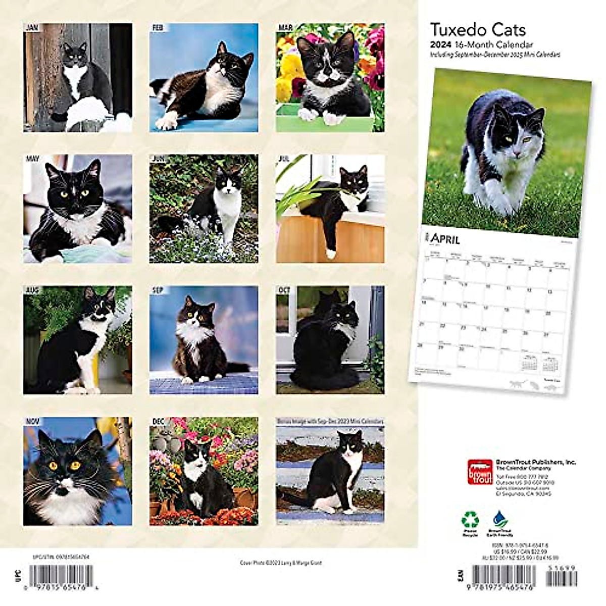 Tuxedo Cats | 2024 12 x 24 Inch Monthly Square Wall Calendar | BrownTrout | Animals Kittens Feline