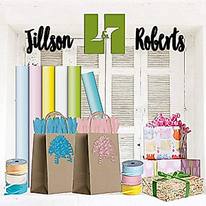 Jillson Roberts 6 Roll-Count All-Occasion Solid Color Gift Wrap Available in 10 Different Assortments, Pretty Pastels