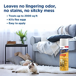 Zodiac Carpet & Upholstery Aerosol Spray, 16-ounce