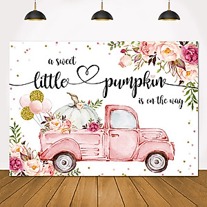 Lofaris Little Pumpkin Girl Baby Shower Photography Backdrops Props Fall Autumn Pink Floral Princess Baby Shower Party Decoration Car Gold Balloon Flowers Photo Studio Booth Background Banner 7x5ft