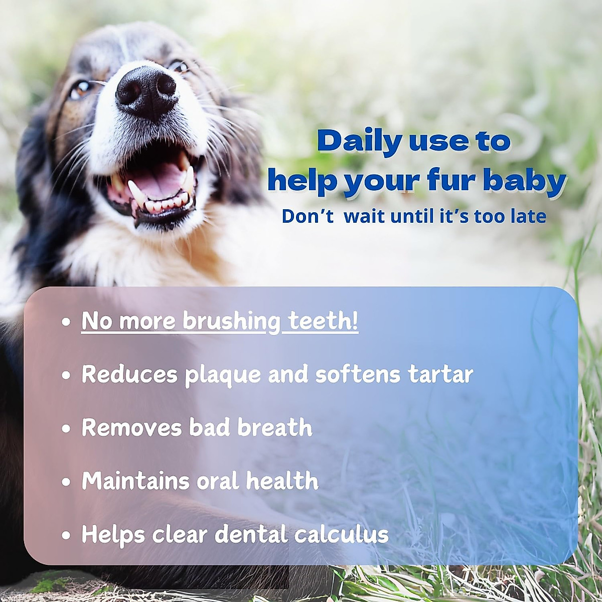 Love Can Fly Dog Teeth Cleaning Powder for Dog, Plaque, Tartar Remover for Oral Health, Eliminates Bad Breath, Natural Ingredients Fucoidan Brown Algae, Norwegian Kelp Persimmon Tannin (1.4 Oz)