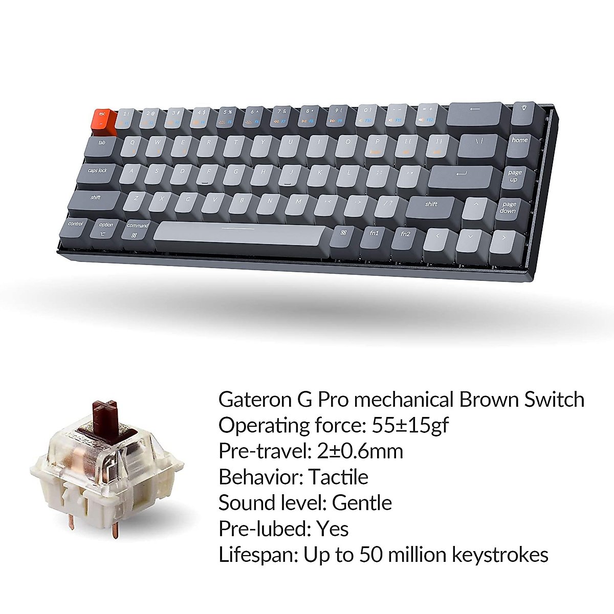 Keychron K6 65% Compact 68 Keys Wireless Mechanical Keyboard for Mac, Hot-swappable White Backlight, Bluetooth, Multitasking, Type-C Wired Gaming Keyboard for Windows with Gateron Brown Switch