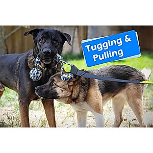 LOOBANI Outdoor Bungee Tug Toy, Dog Toy Hanging from Tree for Small to Large Dogs, Interactive Exercise Play Rope Cord & Tether Tug, Durable Spring Pole Rope for Tug of War, with Chew Rope Toy (Black)