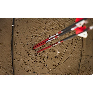 Field Logic unisex adult GlenDel Full-Rut Buck insert core Stocked 3D Targets, Brown, Full Rut 14 x14 US