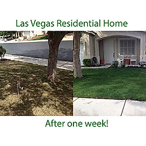 Premium Nutrient Rich Lawn Top Dressing Turf Expanding Coco Coir Mix – 10 LB Covers up to 400 sq. ft. – Grow Thicker Greener Grass in Drought Heat Conditions – Save Water, Seed, & Fertilizer