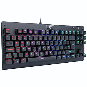 HUO JI E-Element Mechanical Eagle Z-77 Programable RGB Backlit Mechanical Gaming Keyboard with DIY Blue Switches, 88 Keys Anti-Ghosting,UK Layout, Black