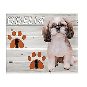 Generic Custom Dog Leash Holder,Personalized Dog Leash Hook with Name and Photo, Wooden Dog Key Organizer for Wall Dog Lovers Gift (White)