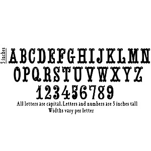 Personalized Custom Banner for any Occasion Graduation Fall Halloween First 1st 15th 16th 30th 40th 50th Birthday Anniversary Baby Shower Welcome Home Wedding Nash Bash Name Bachelorette