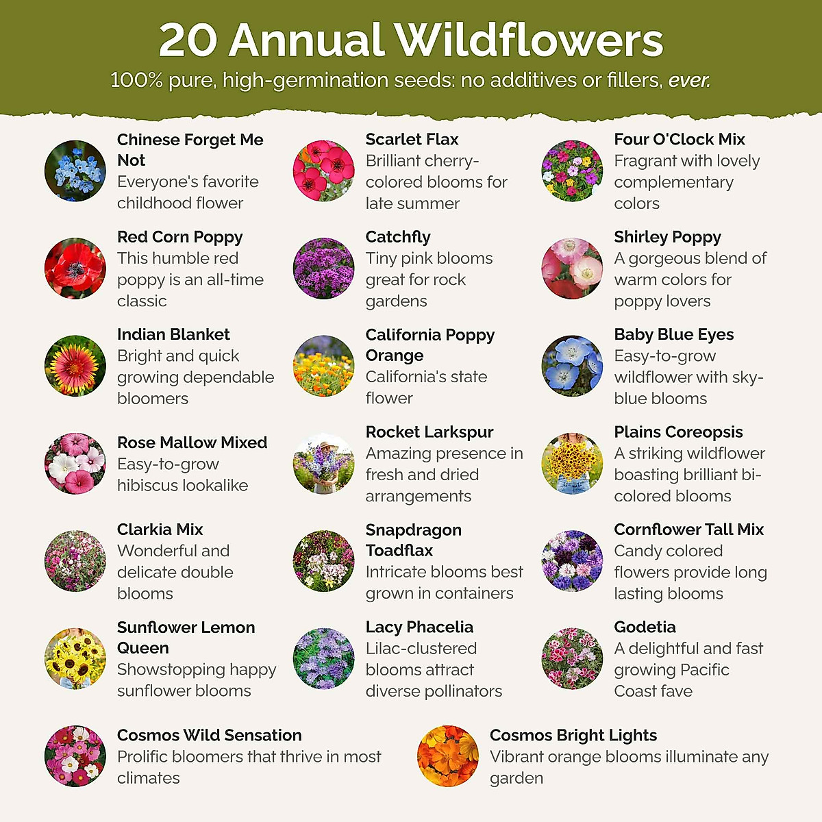 Eden Brothers All Annual Wildflower Mixed Seeds for Planting, 1 lb, 480,000+ Seeds with Sunflower, Indian Blanket, Scarlet Flax | Attracts Pollinators, Plant in Spring, Zones 3, 4, 5, 6, 7, 8, 9, 10