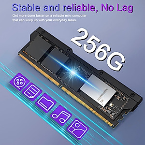 Dual LAN Mini PC, Win 11 Pro, 8GB RAM, 256GB SSD Storage Mini Desktop Computer Intel Celeron Processor N5105, Mini PC for Home/Office