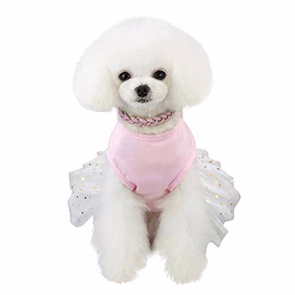 Dog Fashion Cat Pet Clothes Print Breathable Dress Lace Dress Rabbit Bottoming Pet Clothes Dog Dresses for Medium Dogs Girl Winter