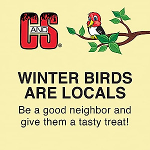 C&S Wild Bird Bluebird Suet Nuggets Mega Box, 8 Pounds