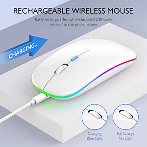 Neises LED Wireless Mouse,Wireless Mouse for MacBook Air/MacBook Pro/Mac/Laptop/MacBook/iPad,Bluetooth Mouse for MacBook Air/Pro/Mac/ipad/ipad pro/OS 13 and Above (White)