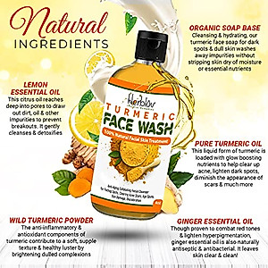 Herblov Turmeric Face Wash, 4oz Turmeric Clear Skin Liquid Soap – 100% Natural Anti Aging Exfoliating Turmeric Facial Cleanser for Spots, Clearing Acne Scars, Age Spots, Sun Damage, Discoloration – Turmeric Soap Skin Detox Made in USA